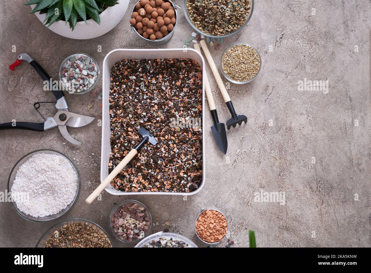 plastic box for soil substrate preparation for transplanting ...