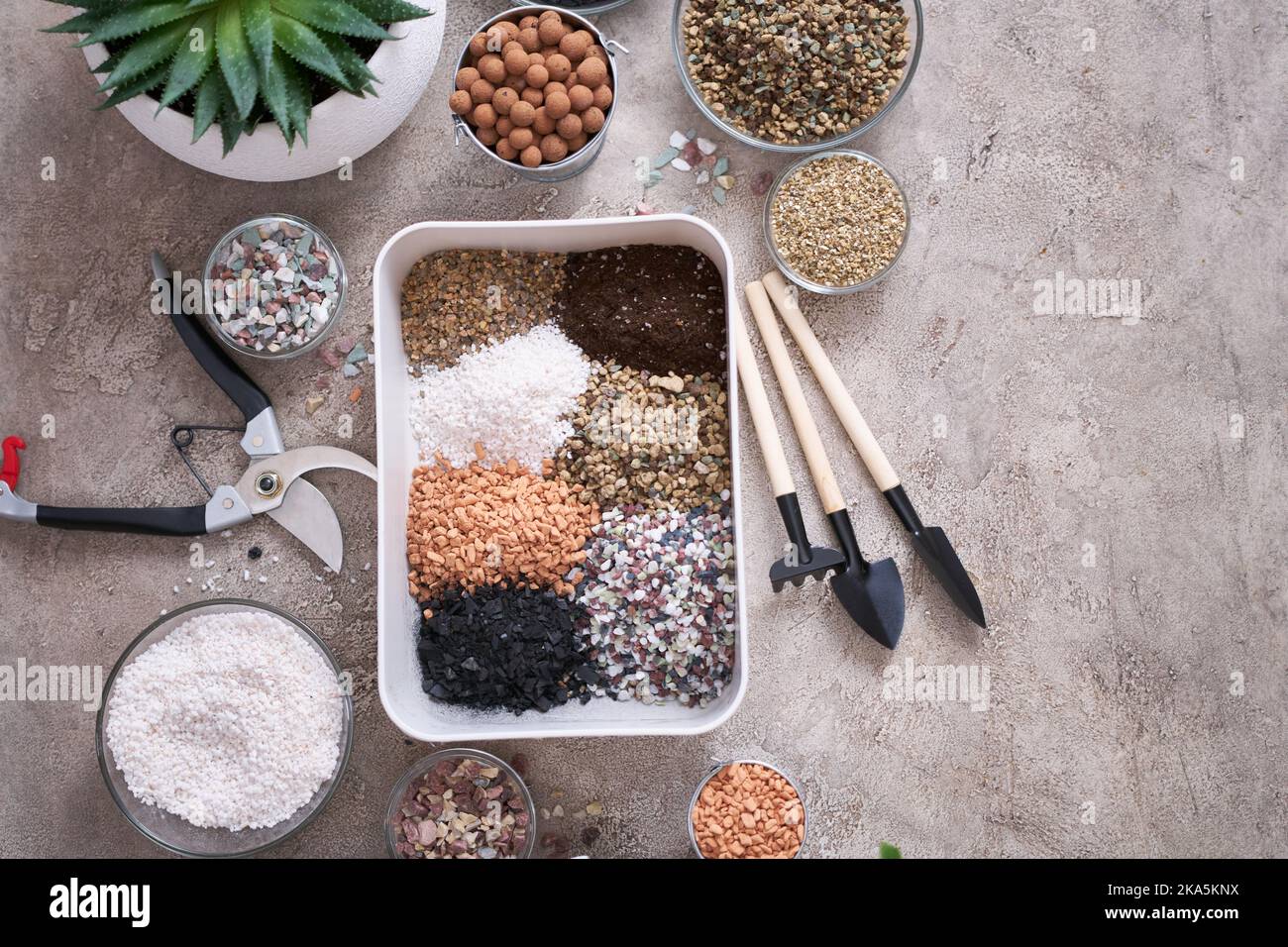 plastic box for soil substrate preparation for transplanting ...