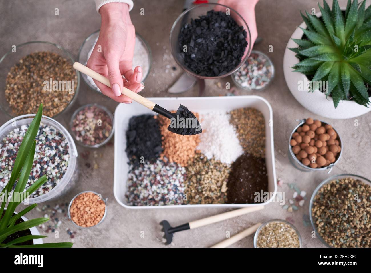 soil substrate preparation for transplanting houseplants on concrete ...