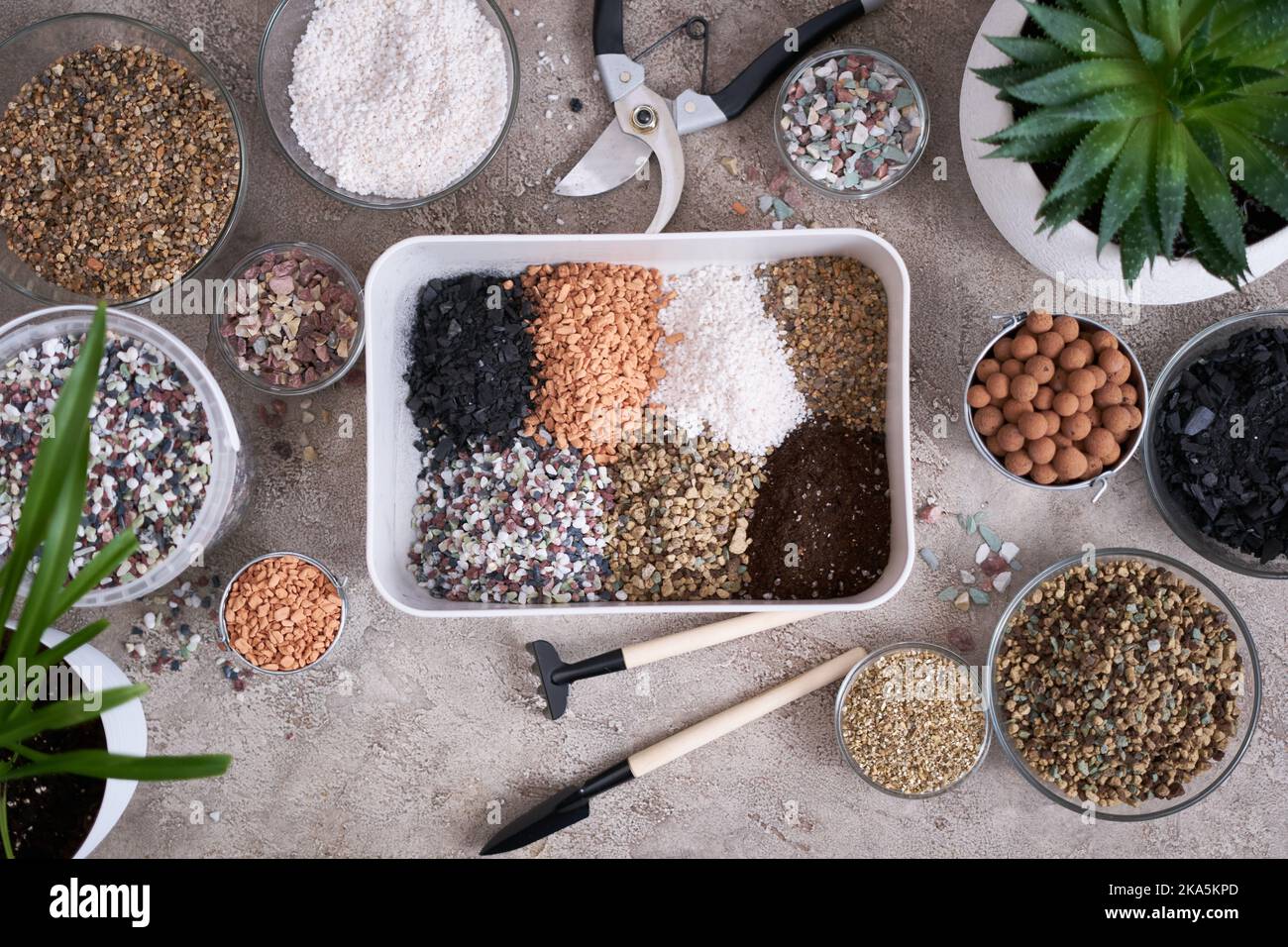 plastic box for soil substrate preparation for transplanting ...