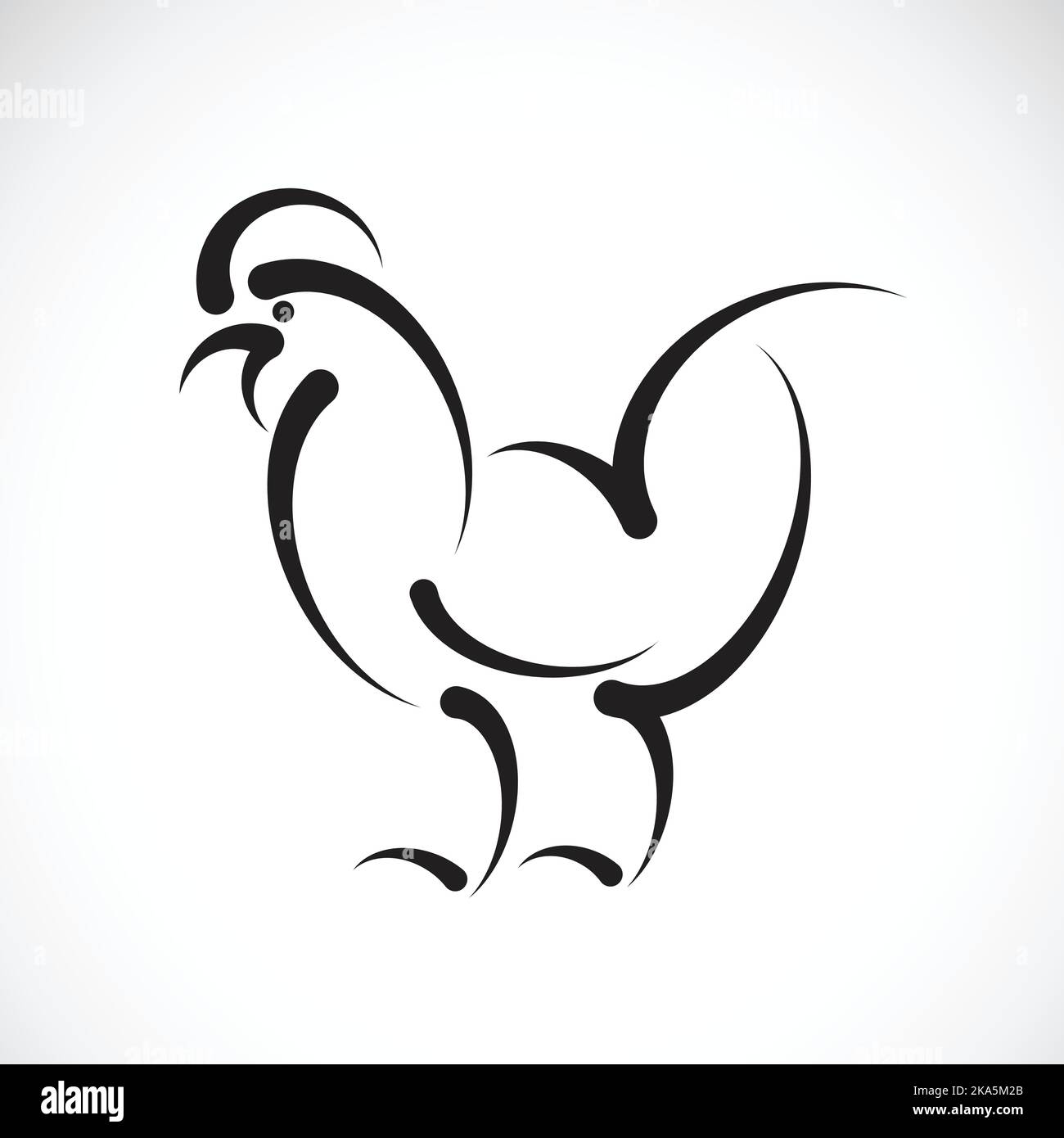 Vector image of a chicken design on white background. / Vector chicken ...