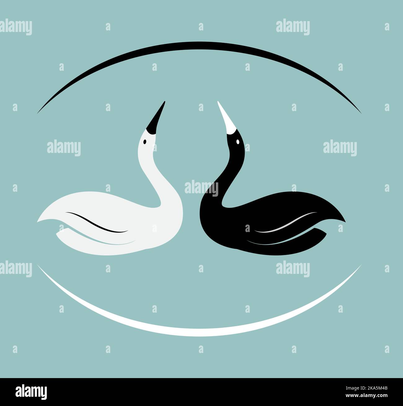 Vector image of swans on a sky blue background. Easy editable layered ...
