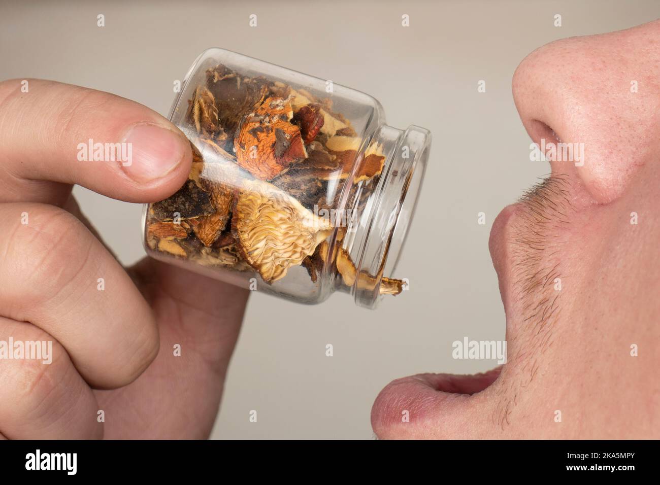 use of large doses of dried red fly agaric, man eat amanita muscaria ...