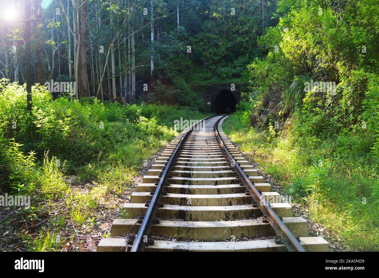 View of the railway and green of forest in kandy sri lanka Stock Photo ...
