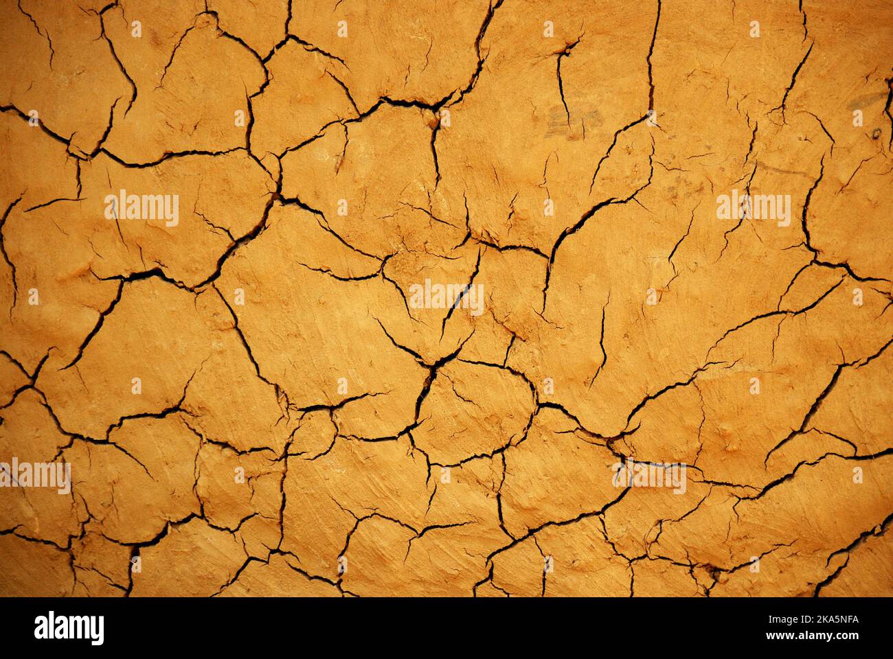 Sri lanka vector art hi-res stock photography and images - Alamy