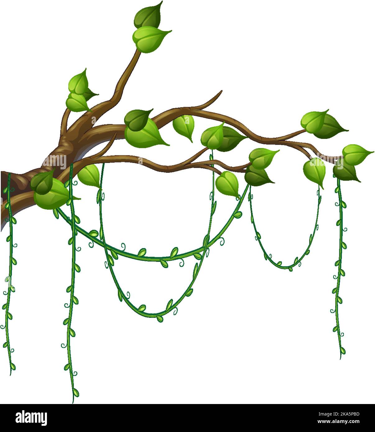 Tree branch with liana isolated illustration Stock Vector Image & Art ...