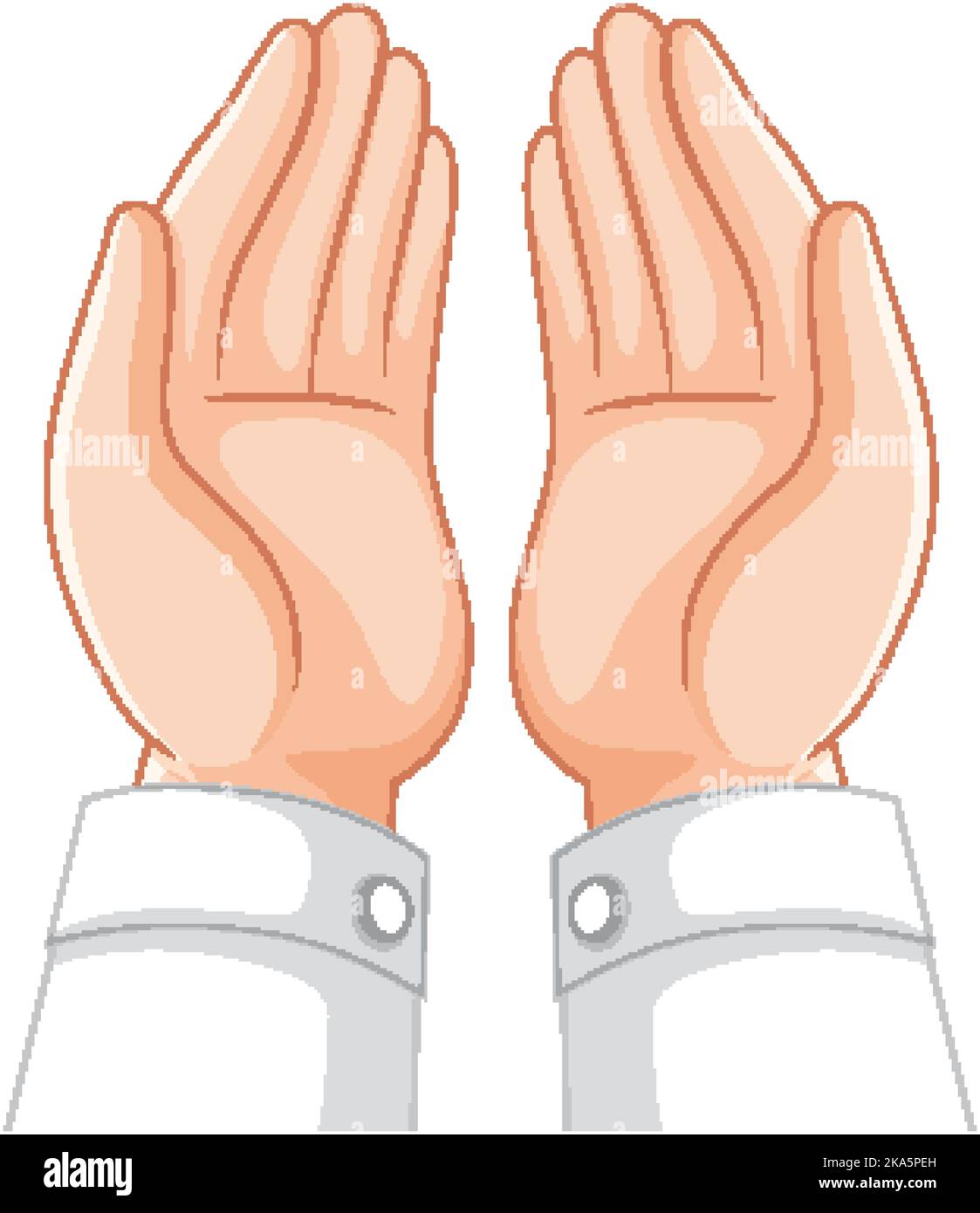 Human palm hands on white background illustration Stock Vector Image ...