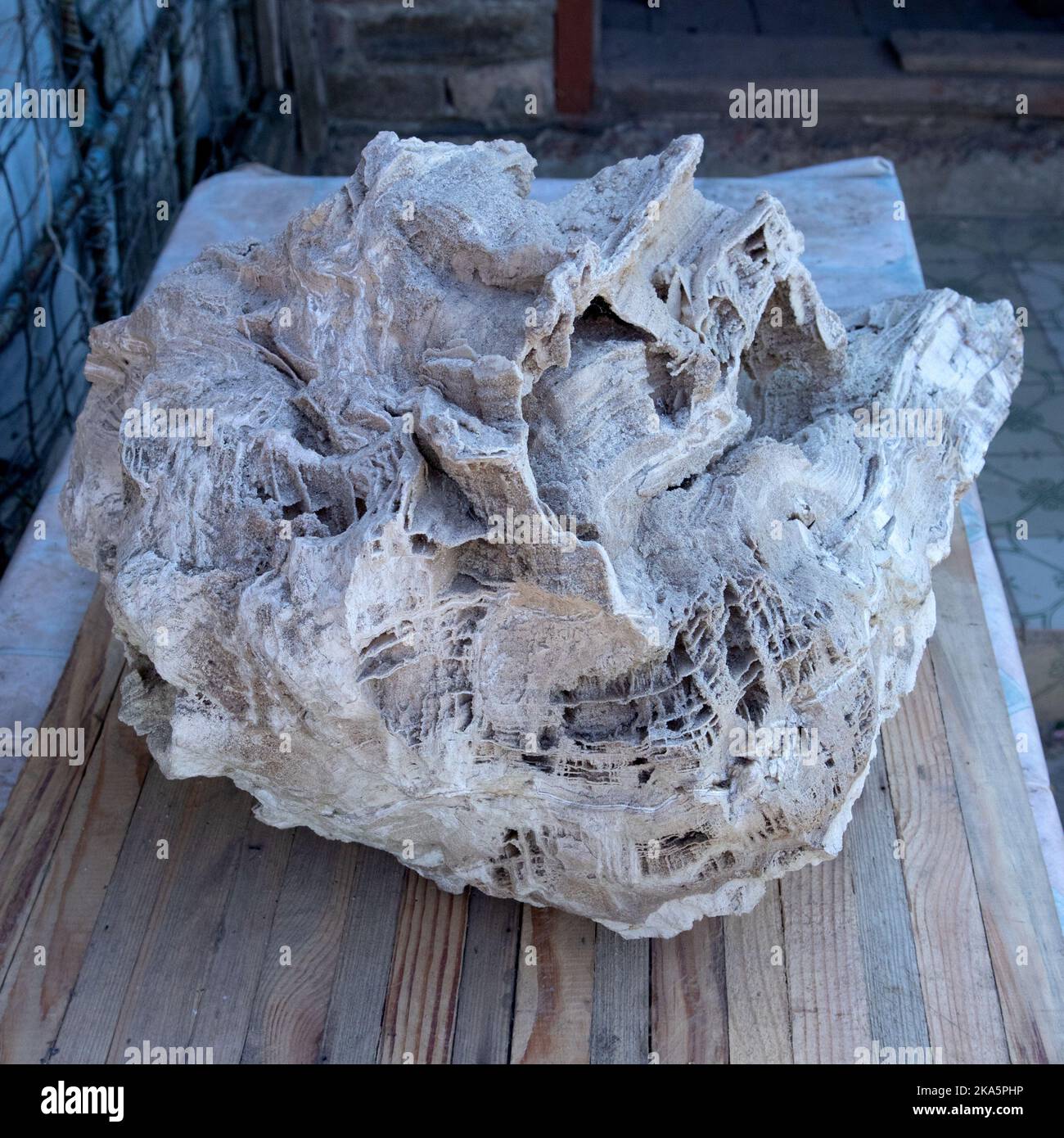 Ancient old petrified wood, excavation, minerals, as nice background ...