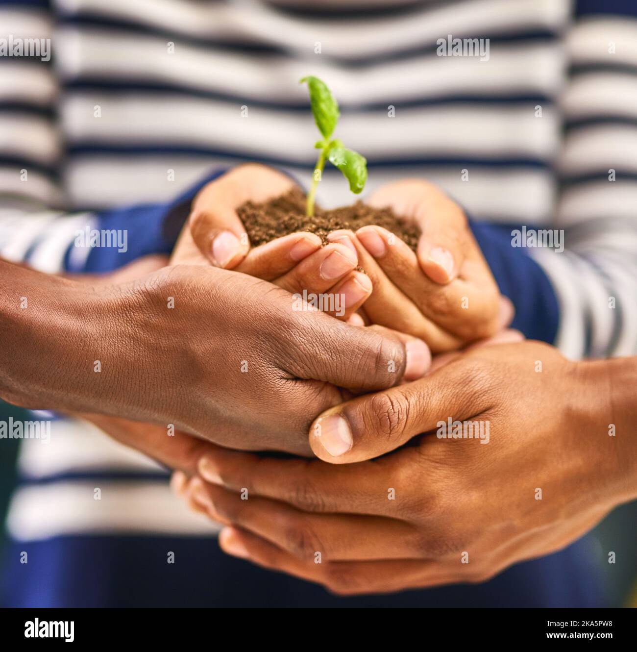 Lets grow something great. a group of people holding plants growing out ...