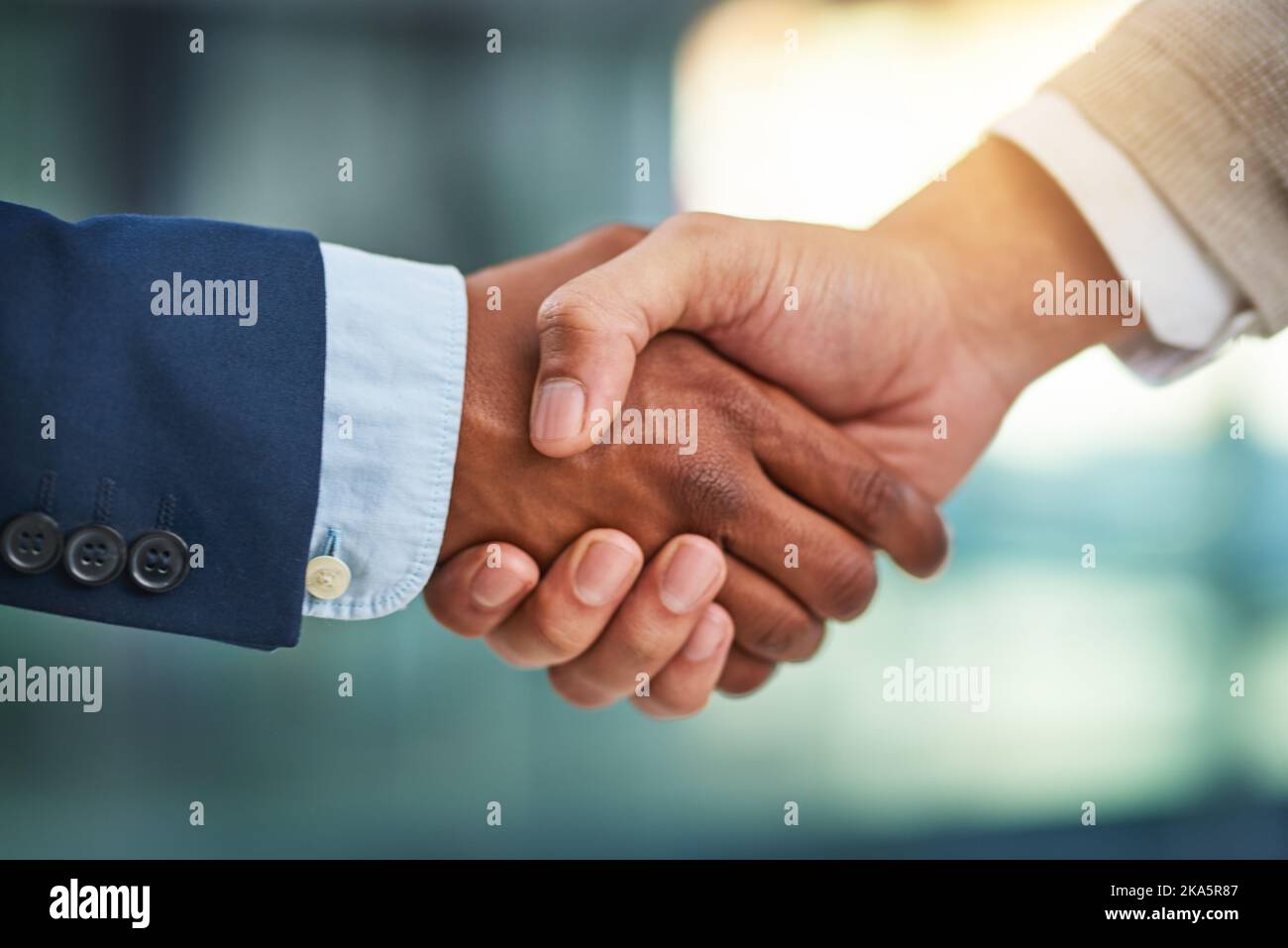 Dont be the deal breaker, be the deal maker. two businessmen shaking ...