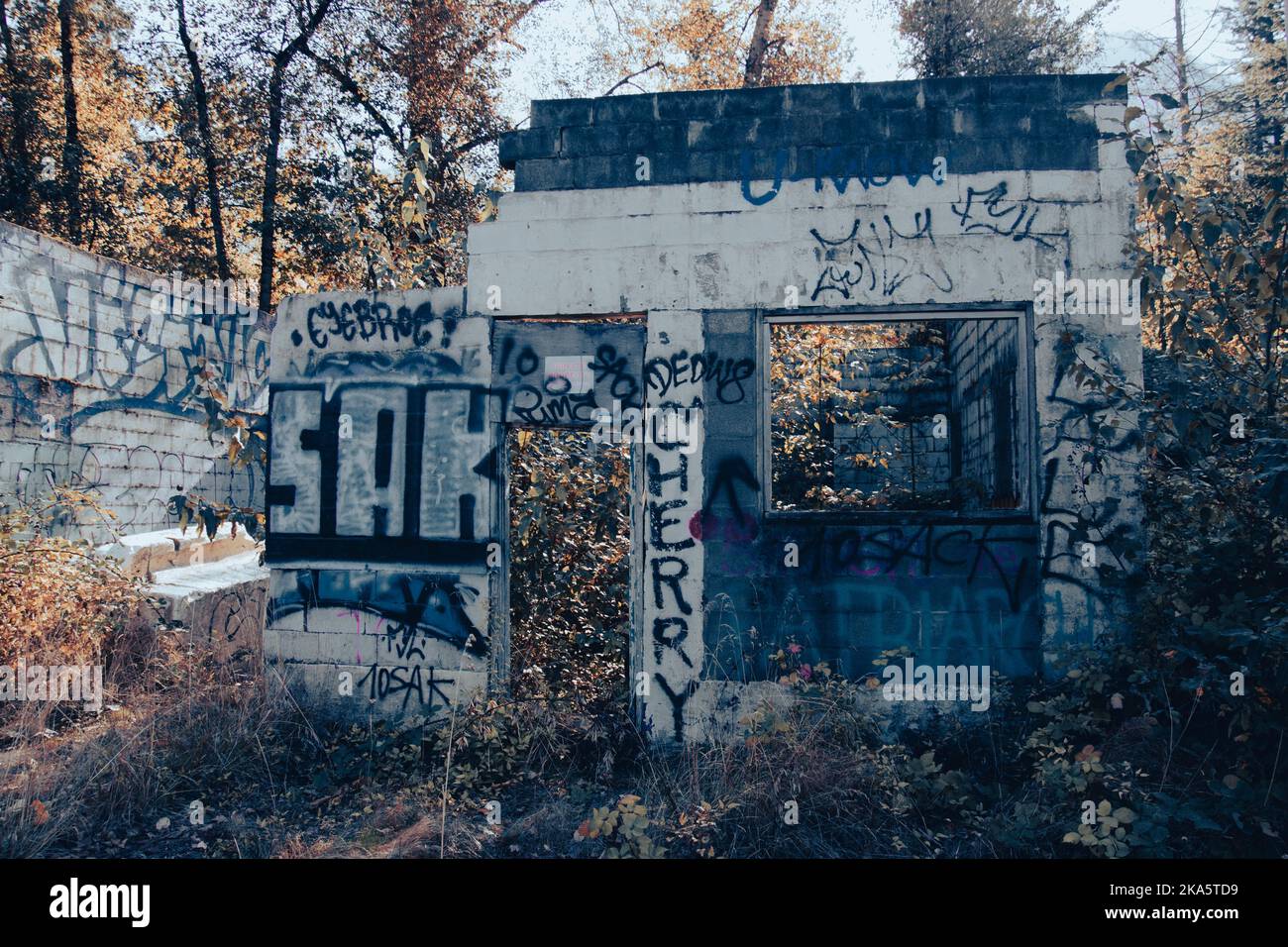 Rundown building overgrown with plants and covered in spray paint Stock ...