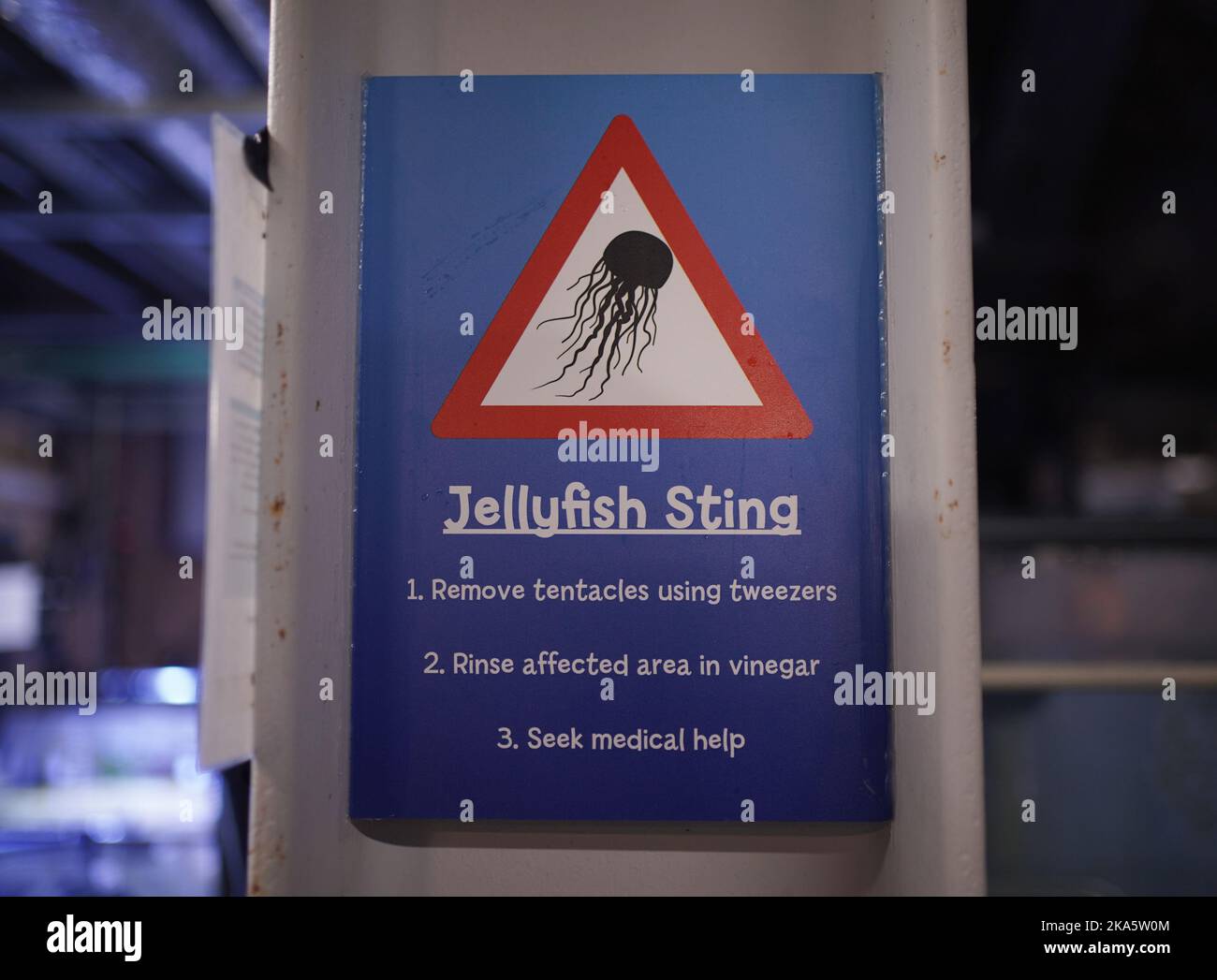 An information sign regarding jellyfish stings, during a photo call for ...