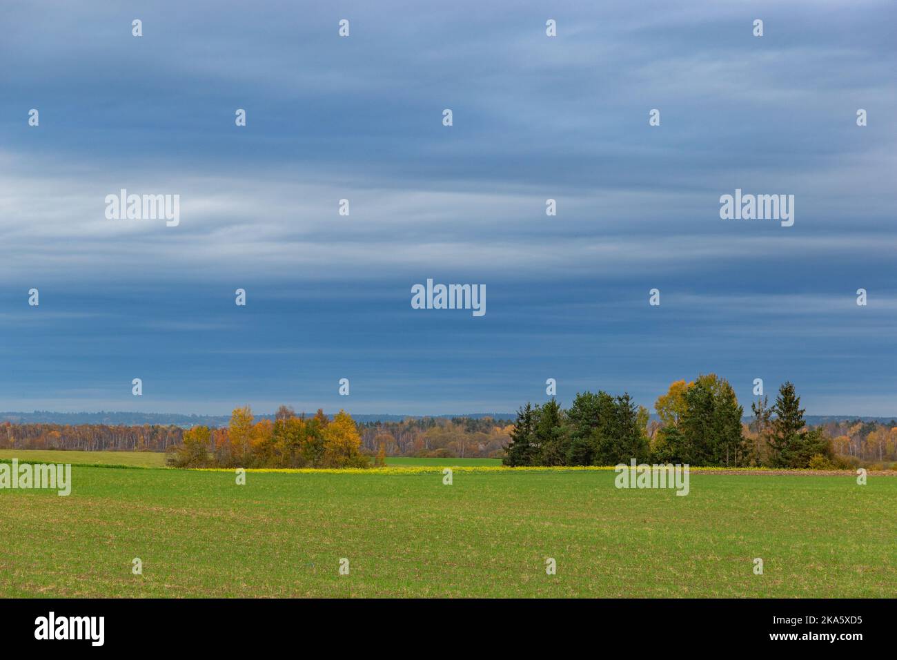 Late autumn forest aerial hi-res stock photography and images - Alamy