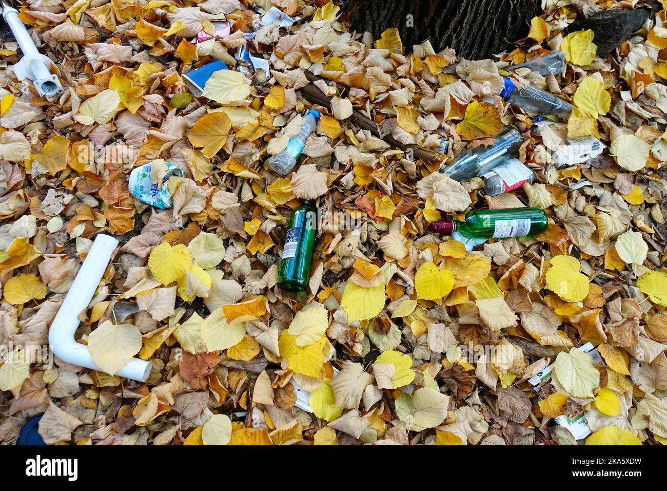 Bottles in a public park in Berlin, Germany Stock Photo - Alamy