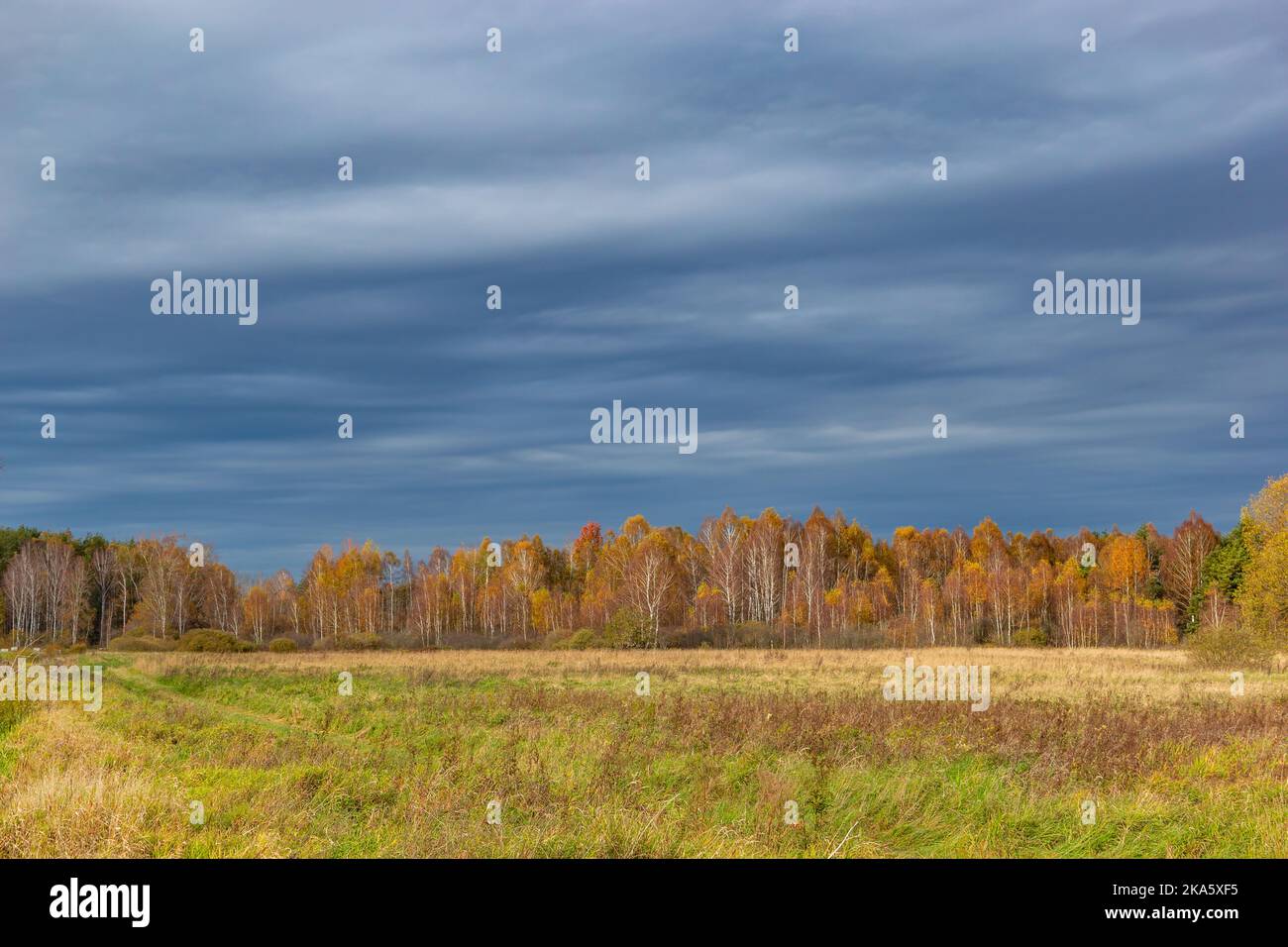 Fields and forests in cloudy, autumn weather. Late fall. Europe Stock ...