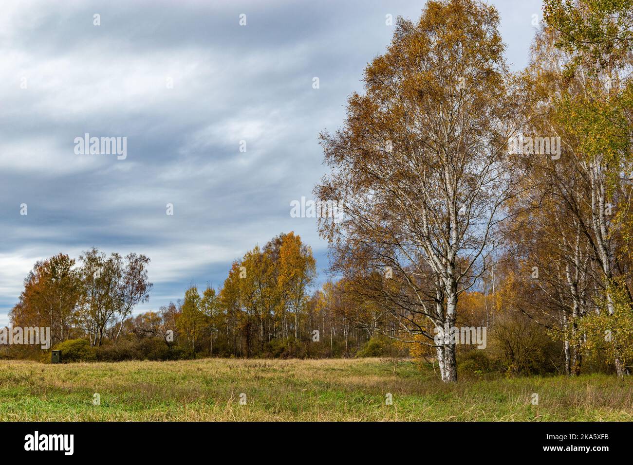 Fields and forests in cloudy, autumn weather. Late fall. Europe Stock ...