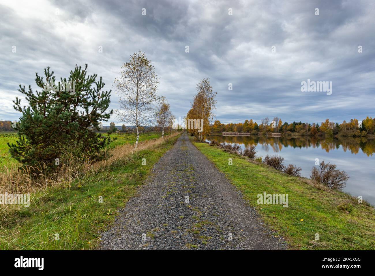 Highway between green forests hi-res stock photography and images - Alamy