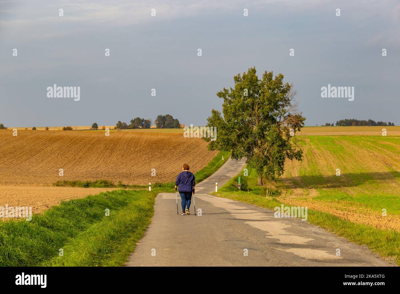 Plus size woman walking on the road. Nordic walking as healthy ...