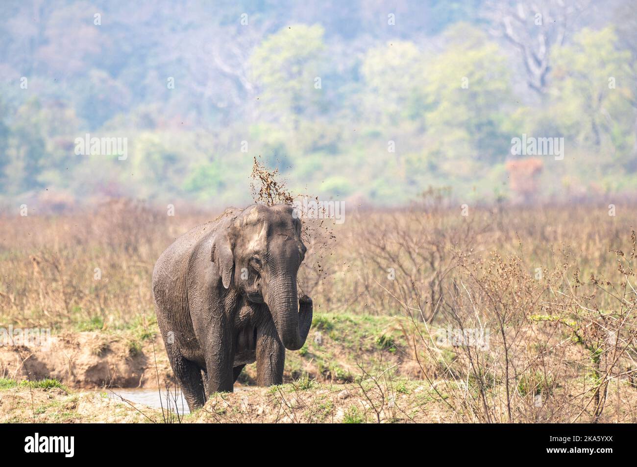 Summer season india hi-res stock photography and images - Alamy