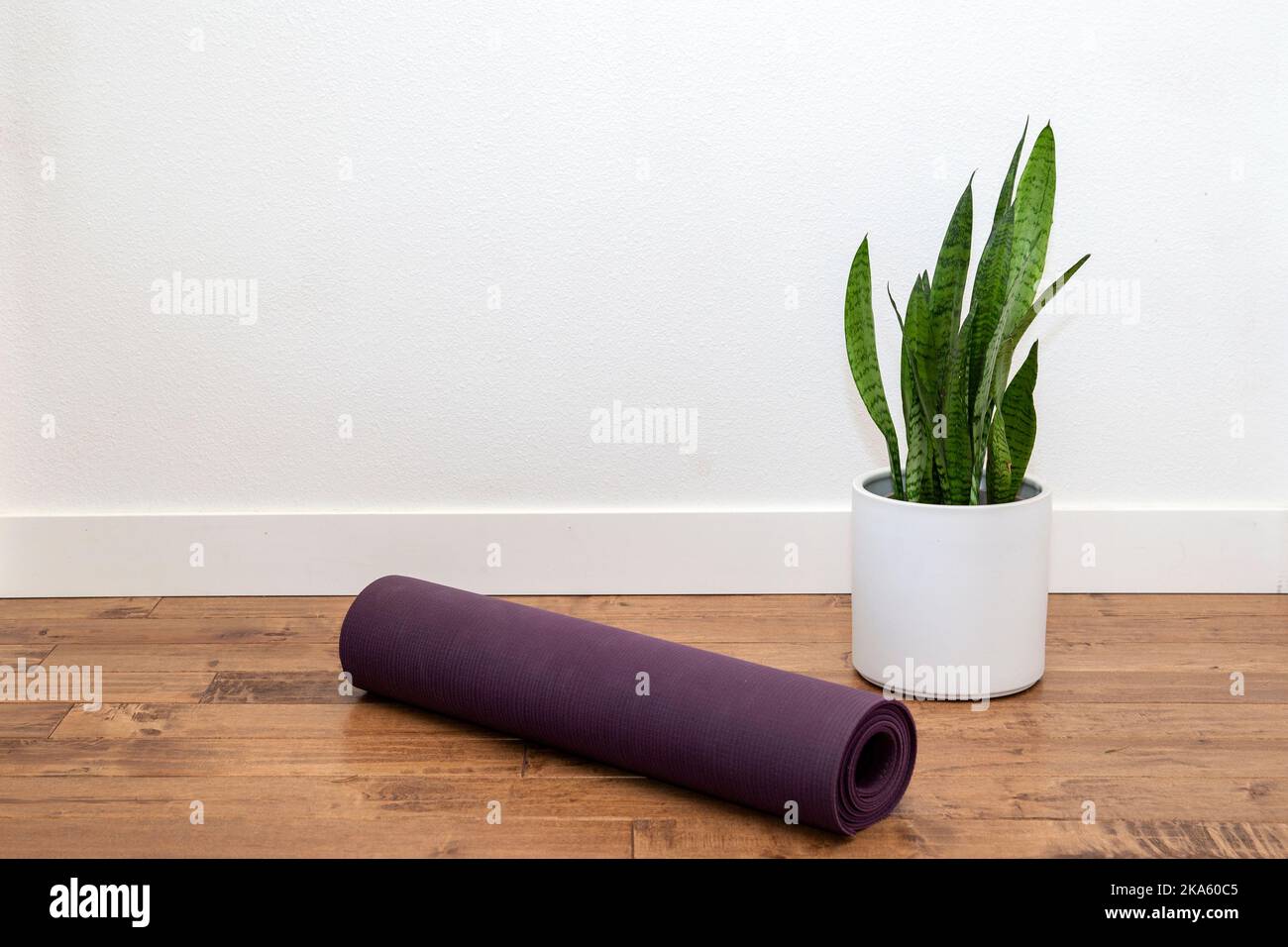 Snake plant in white planter with yoga mat against white wall Stock ...