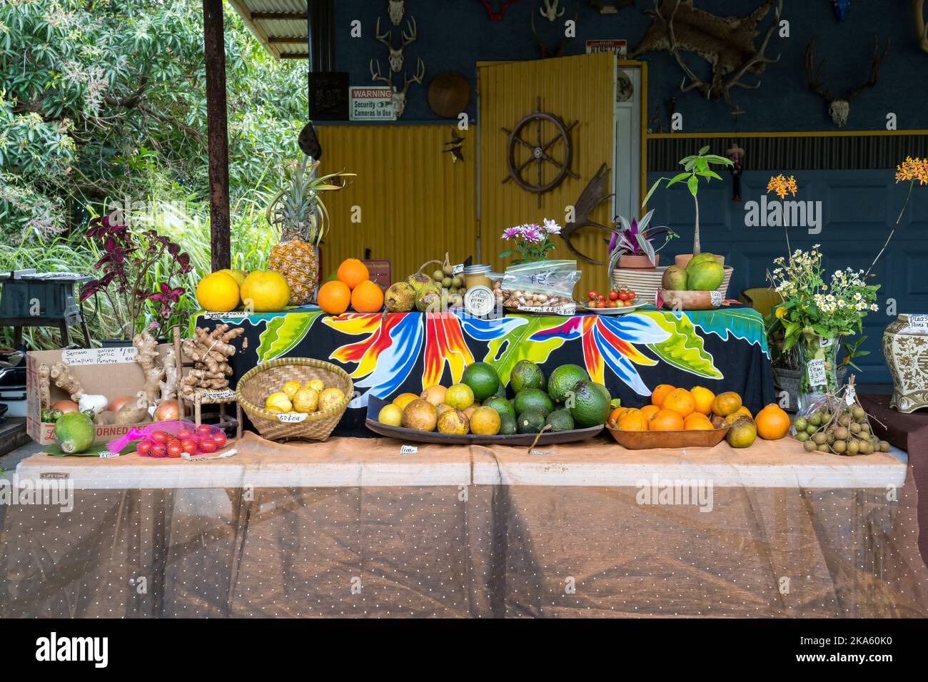 Hawaii fruit stand hi-res stock photography and images - Alamy