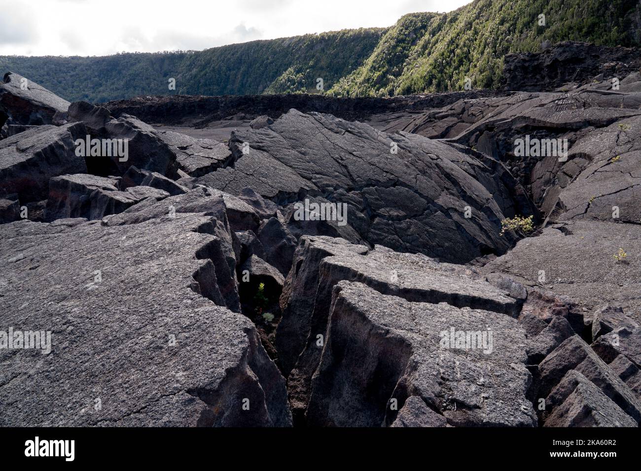Hiking through old lava field in Volcano National Park in Hilo Big ...