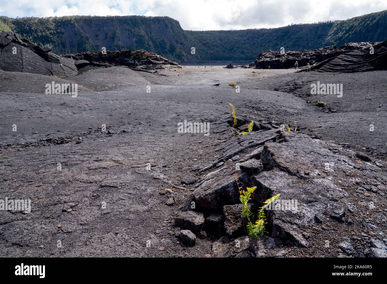 Hiking through old lava field in Volcano National Park in Hilo Big ...