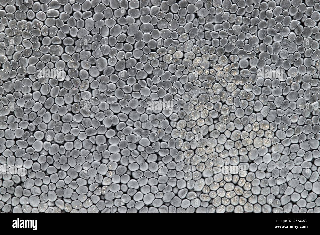 Foam cells hi-res stock photography and images - Alamy