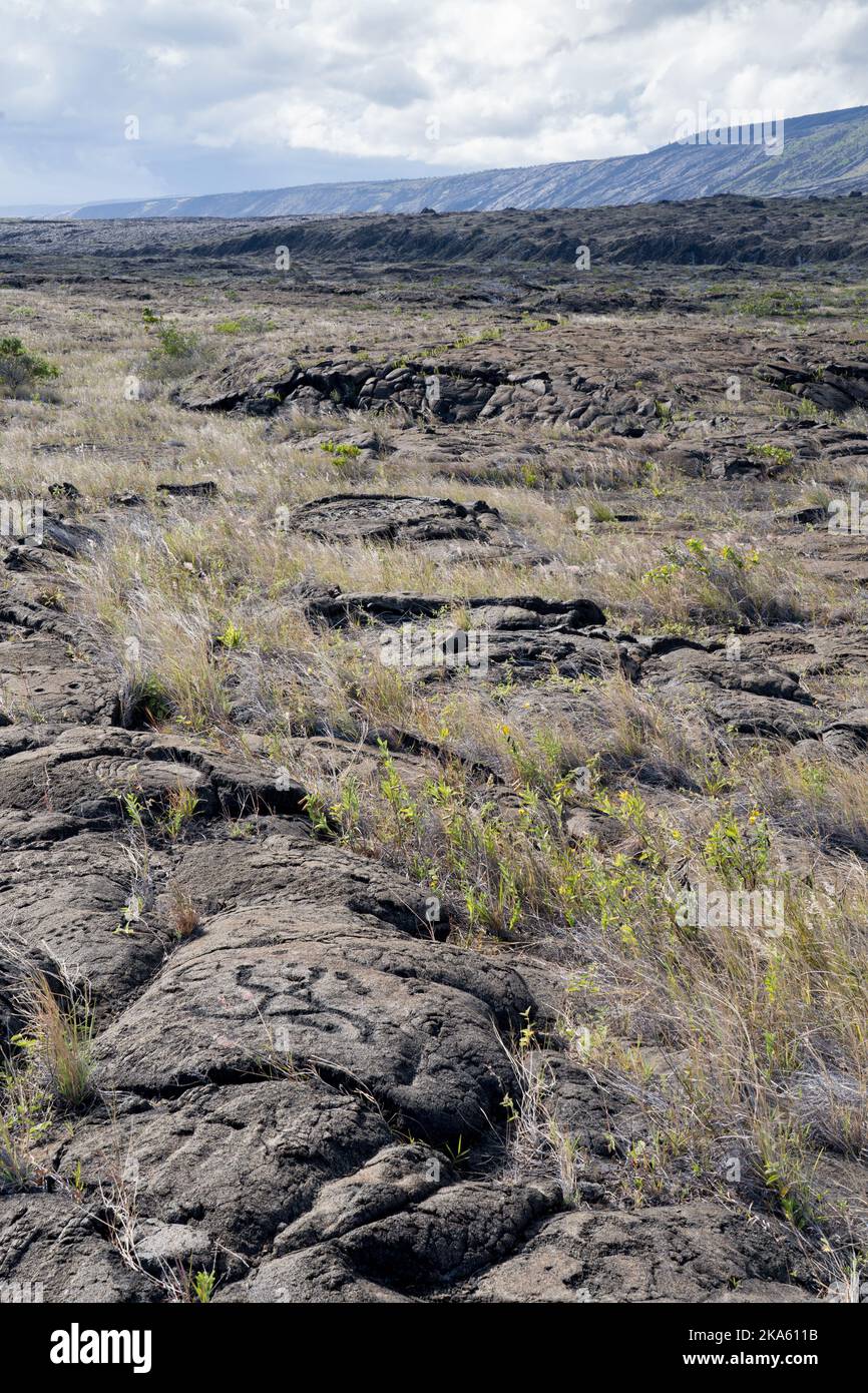 Big Island Hawaii volcano National part upright sign on stone Stock ...