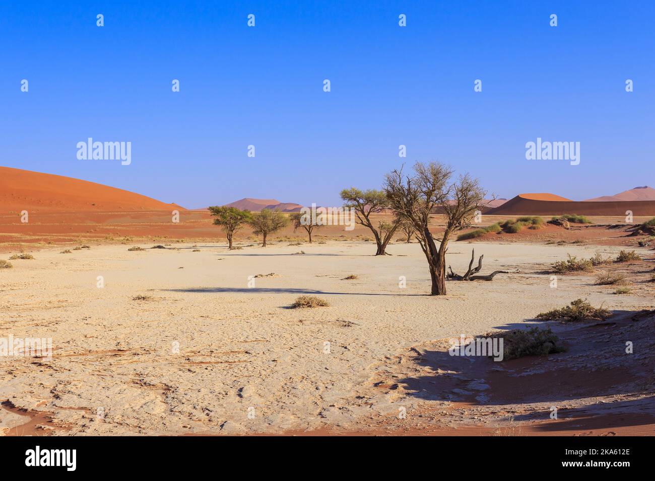 Deadvlei, white clay pan located inside the Namib-Naukluft Park in ...