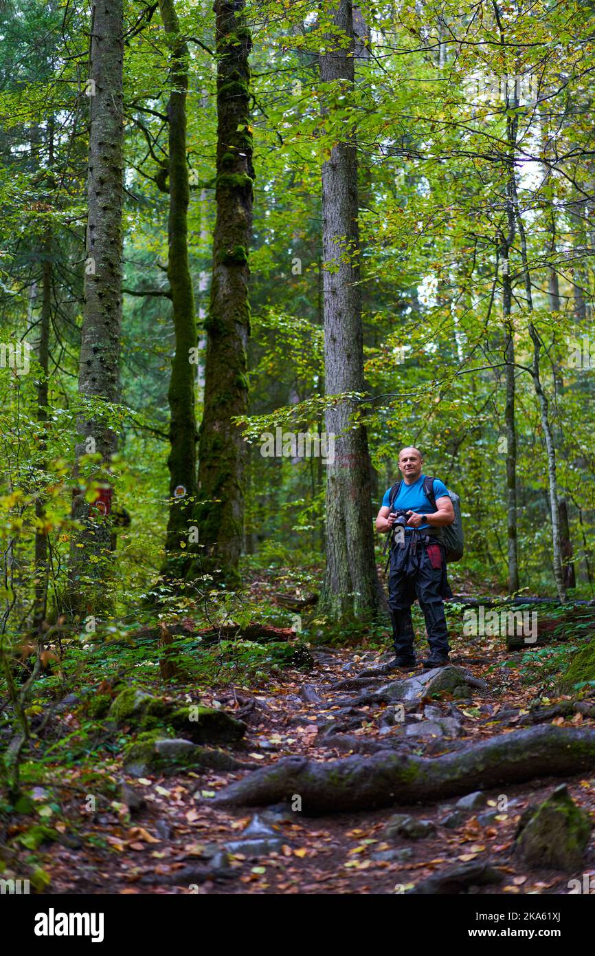 Nature photographer with heavy backpack and camera hiking into the pine ...