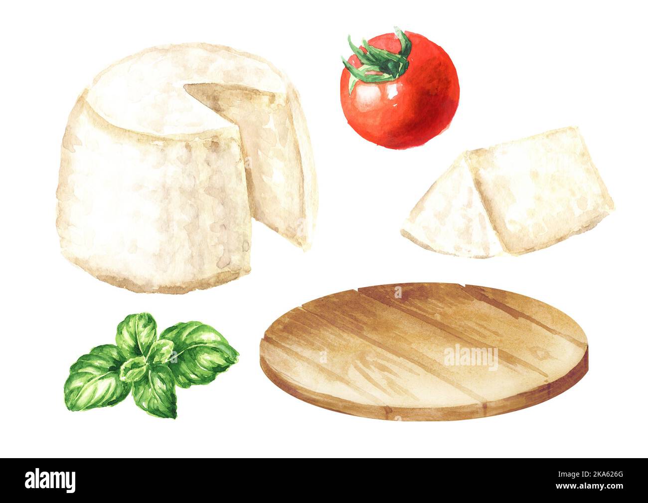 Ricotta homemade soft cheese with basil and cherry tomatoes set. Hand ...