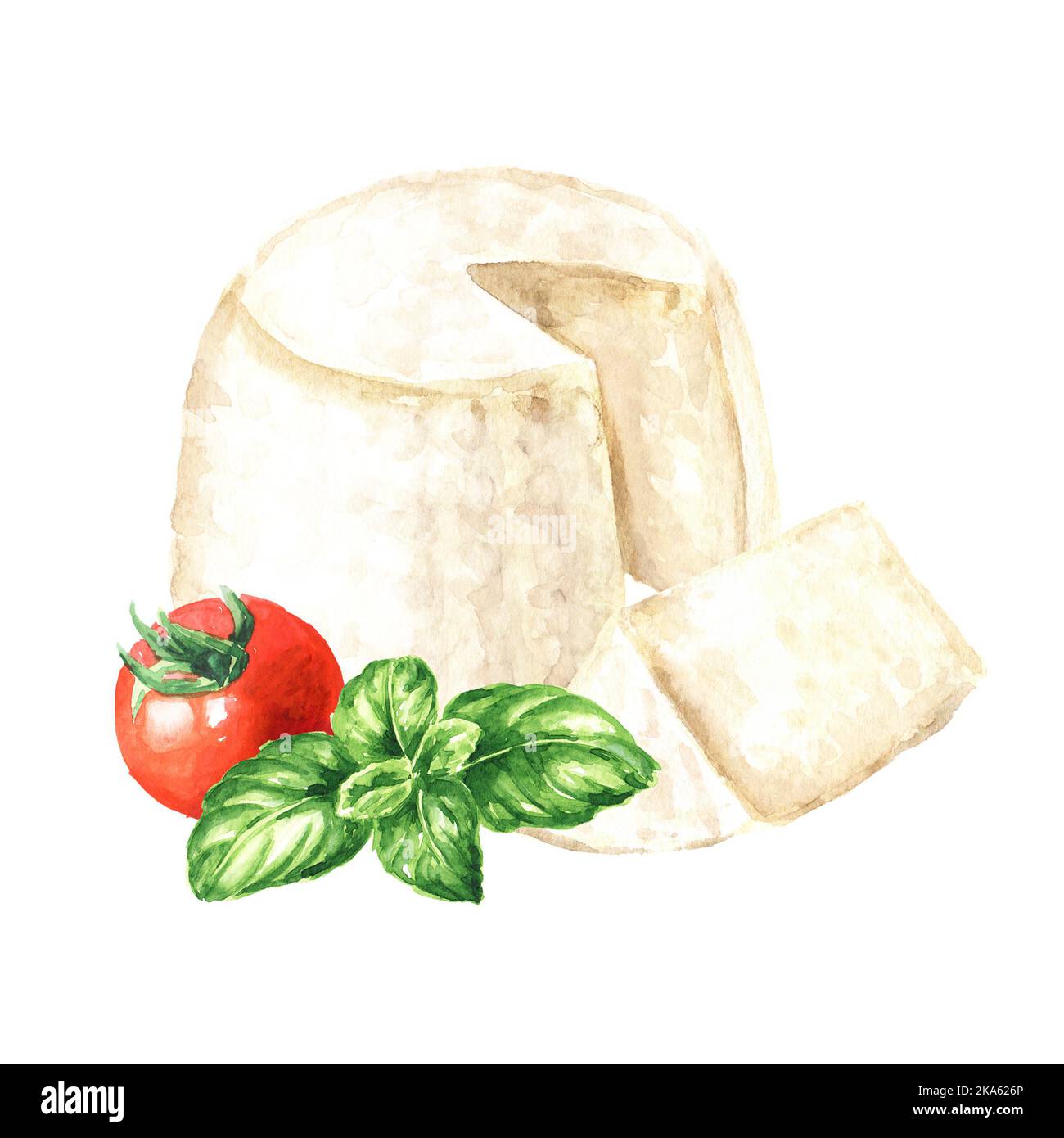 Ricotta homemade soft cheese with basil and cherry tomatoes. Hand drawn ...