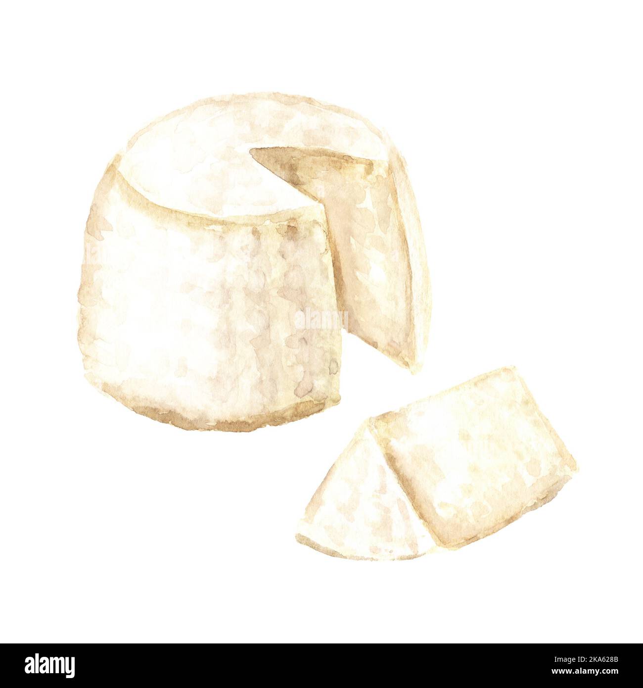 Ricotta homemade soft cheese. Hand drawn watercolor illustration ...