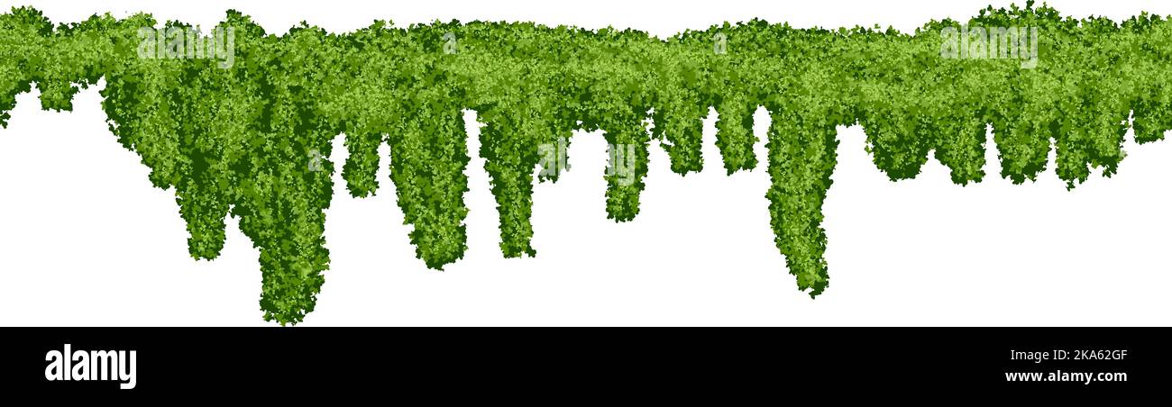 Horizontal endless swamp moss texture on white background Stock Vector ...