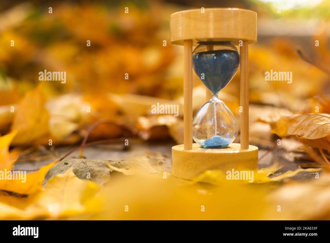 Hourglass and autumn leaves in the park. A symbol of passing time ...