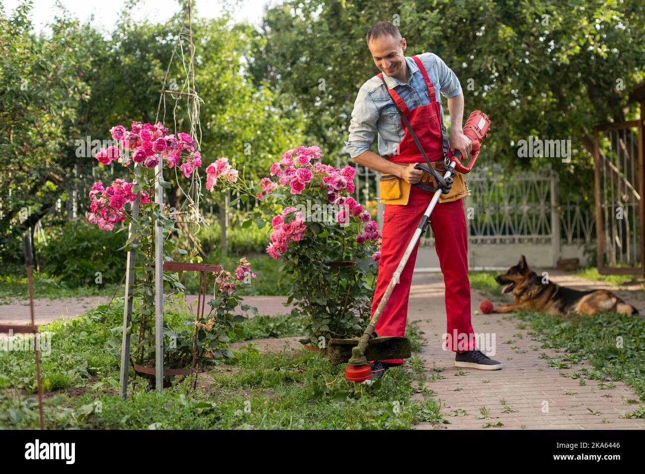 Man worker cutting grass with lawn mower Stock Photo - Alamy