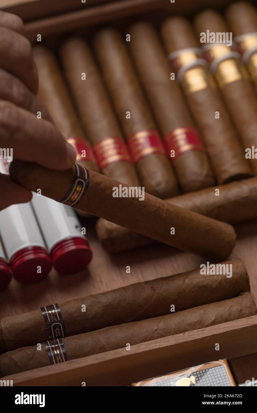 Cigar- Hand taking a cigar from a cigar box Stock Photo - Alamy