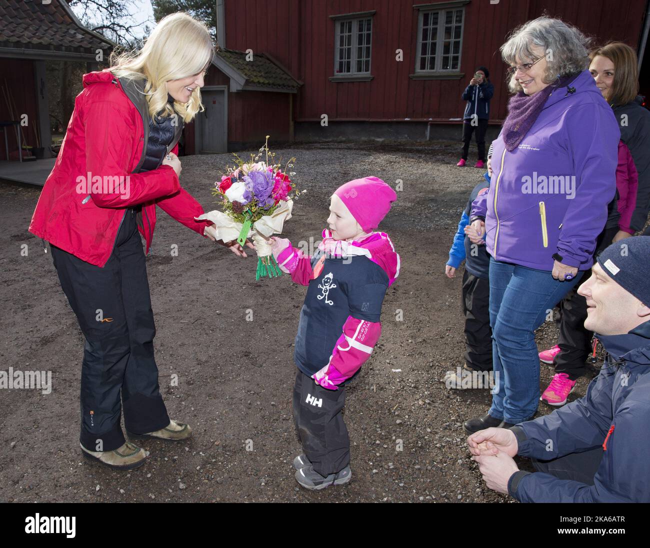 Steinroysa hi-res stock photography and images - Alamy