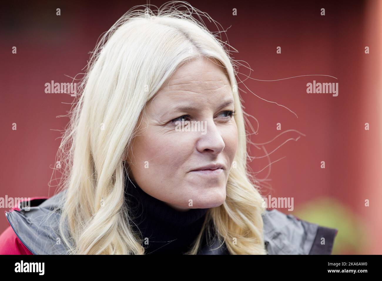 Steinroysa hi-res stock photography and images - Alamy