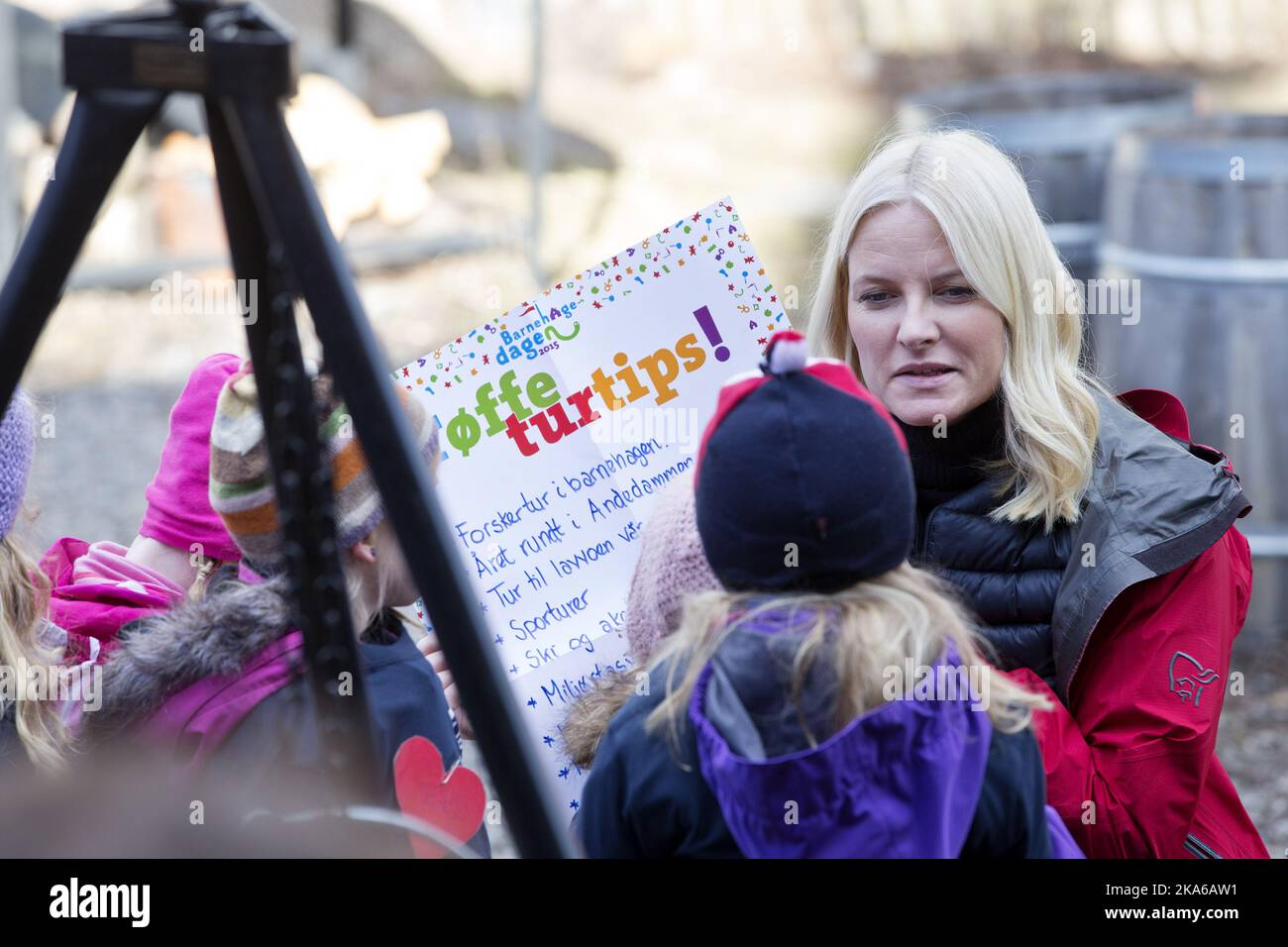 Steinroysa hi-res stock photography and images - Alamy