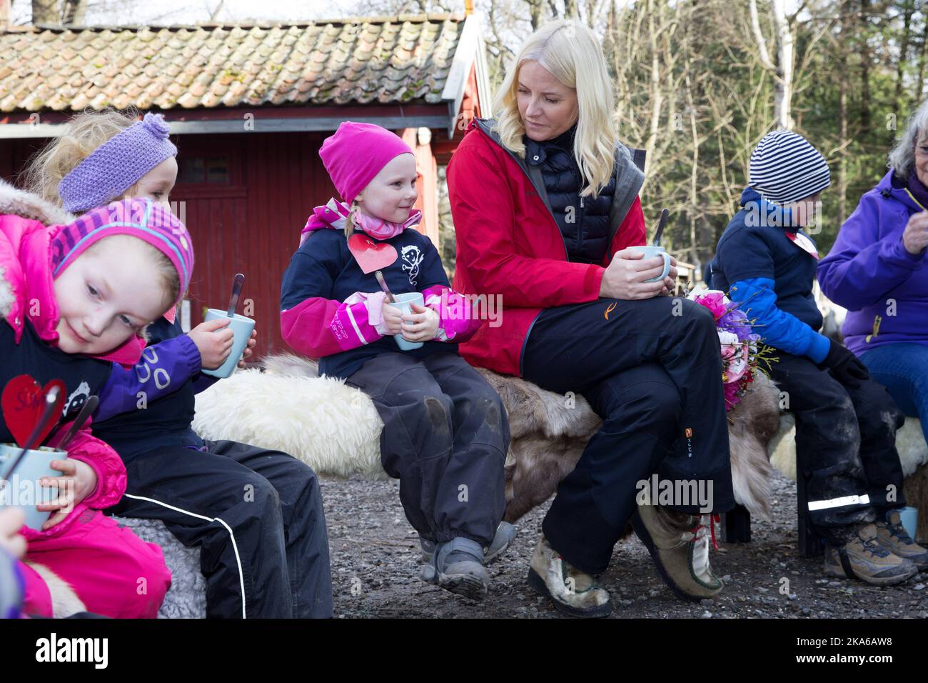 Steinroysa hi-res stock photography and images - Alamy