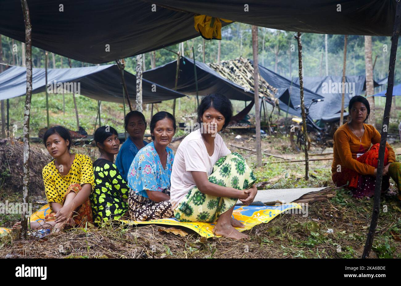 SUMATRA, INDONESIA 20150415. People from Orang Rimba Bujang Tampui ...