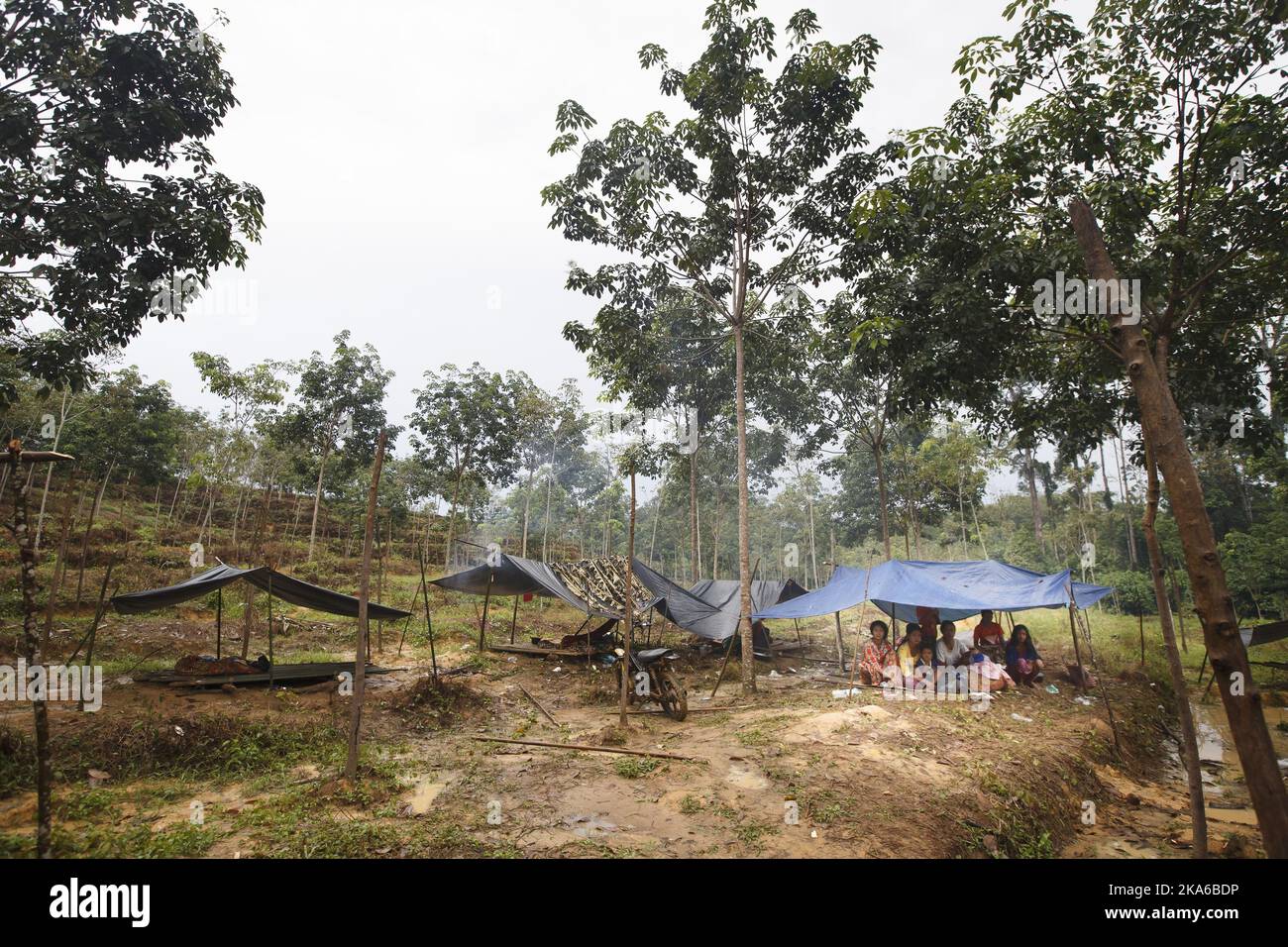 SUMATRA, INDONESIA 20150415. People from Orang Rimba Bujang Tampui ...