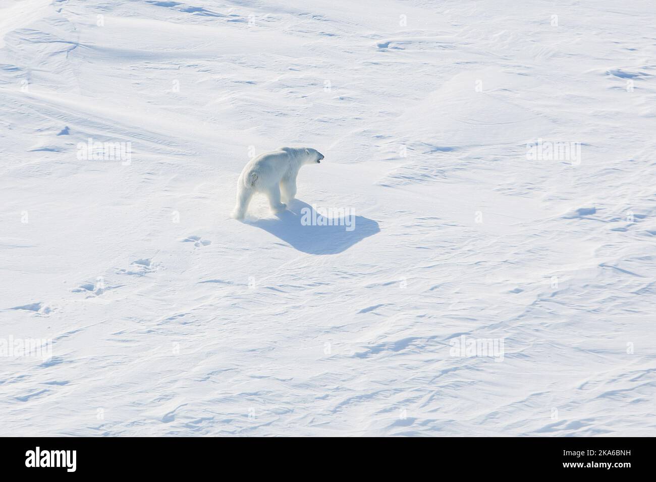 82 degrees hi-res stock photography and images - Alamy