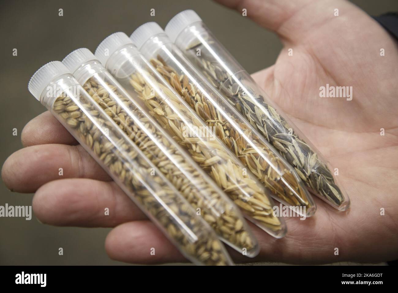 Inside seed vault hi-res stock photography and images - Alamy