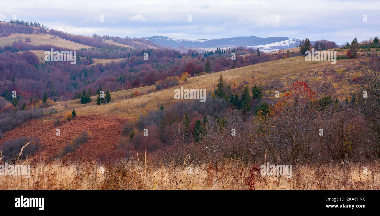 countryside landscape in late autumn. trees in fall foliage on colorful ...