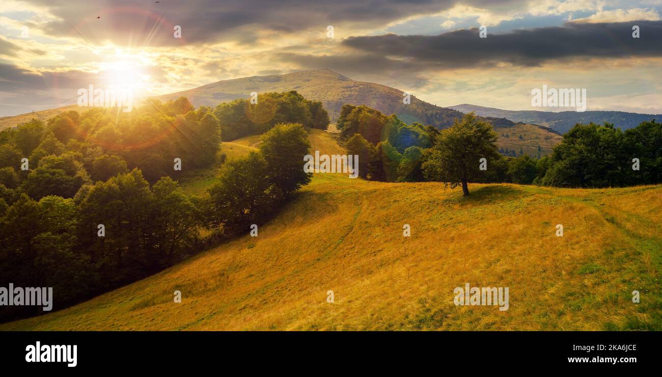 green pasture on the hillside at sunset. forested mountains in the ...