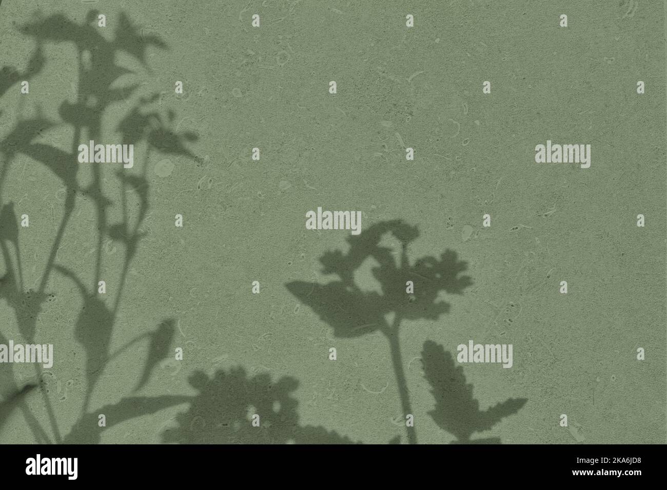 Shadow of flowers on gray green concrete wall texture background Stock ...