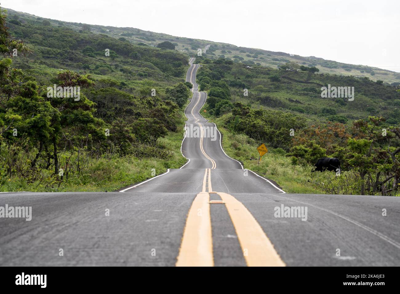 Maui remote road hi-res stock photography and images - Alamy